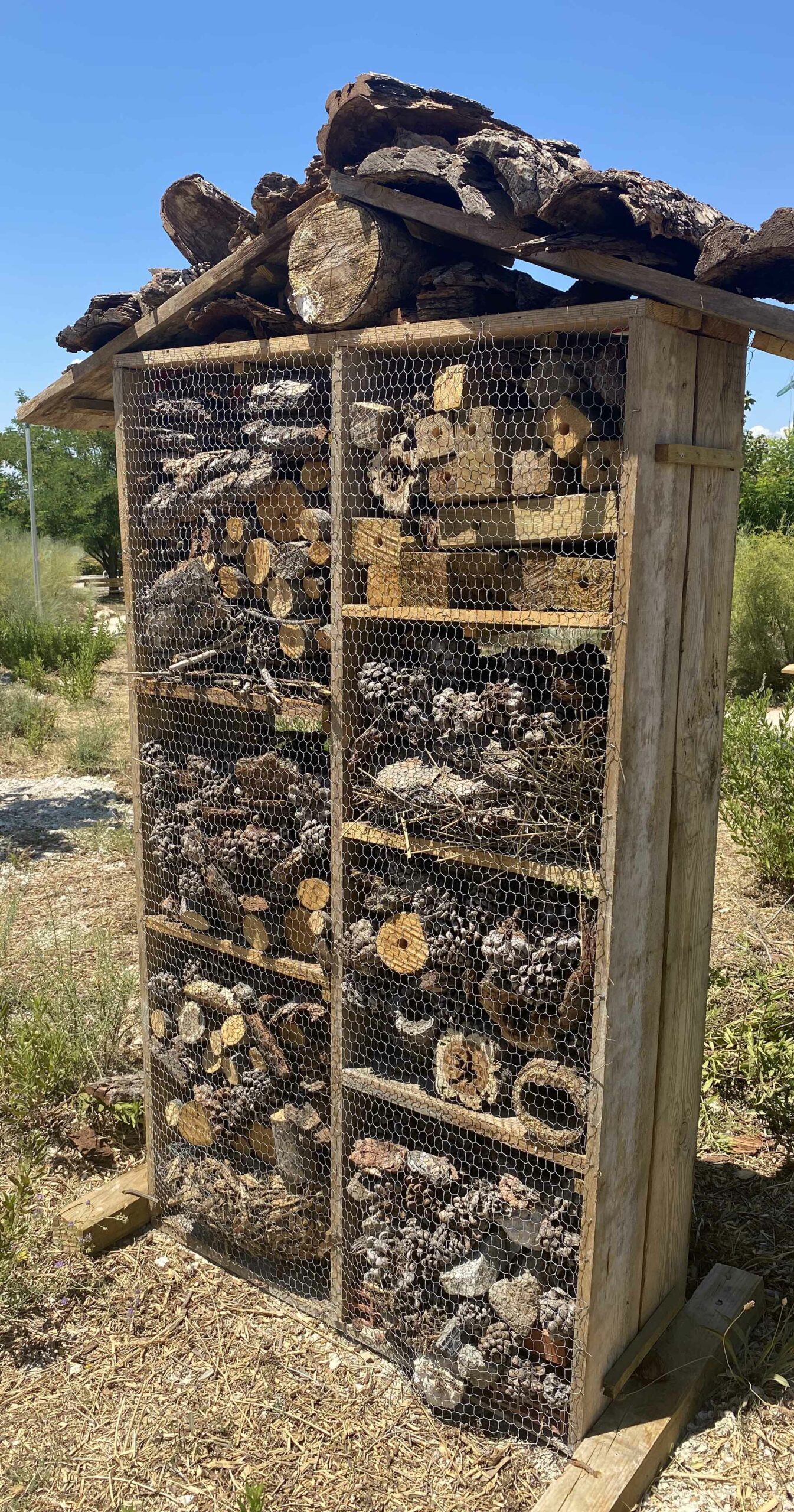 El hotel de los insectos