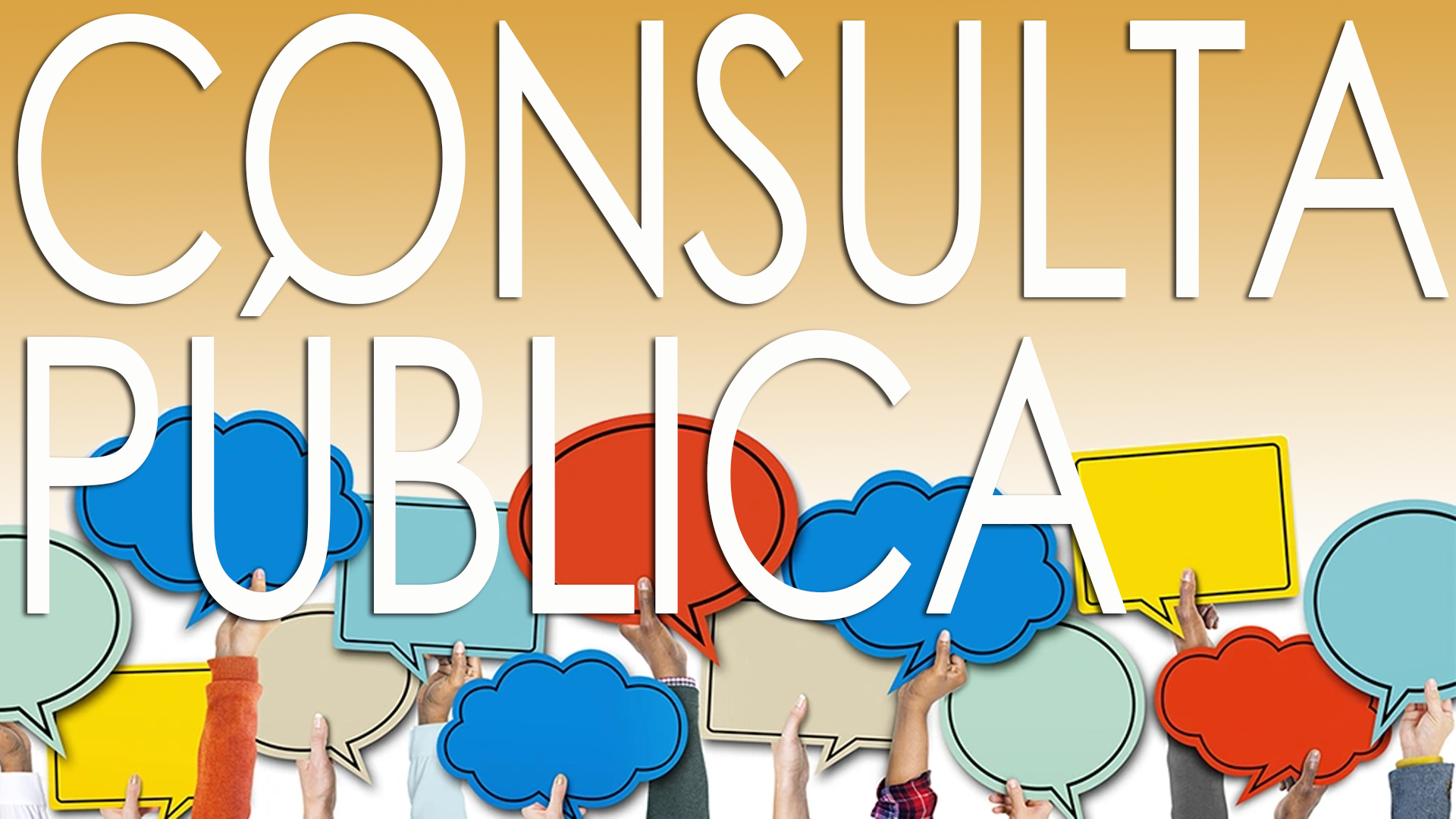 Consulta Pública: participación de los ciudadanos en el procedimiento ...